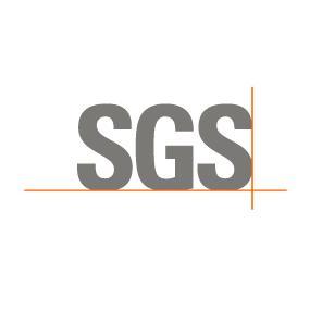 SGS North America Org Chart + Executive Team