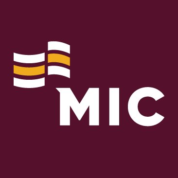 MIC Org Chart + Executive Team