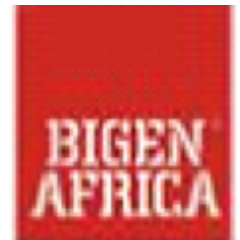 Bigen Group Org Chart + Executive Team