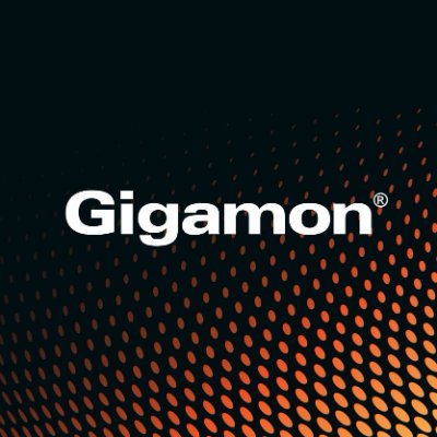 Gigamon Org Chart + Executive Team