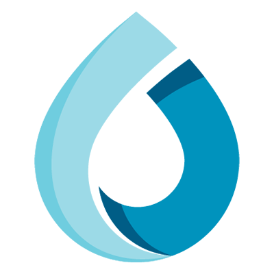 Torrent Technologies Org Chart + Executive Team