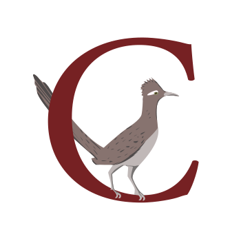 Canvas Energy Org Chart + Executive Team