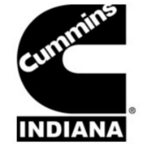 Cummins India Org Chart + Executive Team