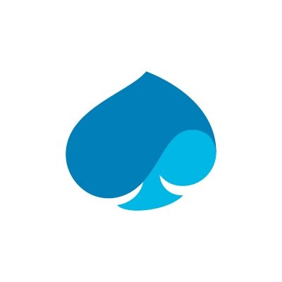 Capgemini Italia Org Chart + Executive Team