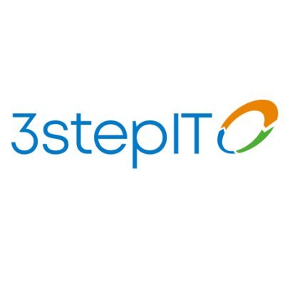 3 Step IT Org Chart + Executive Team