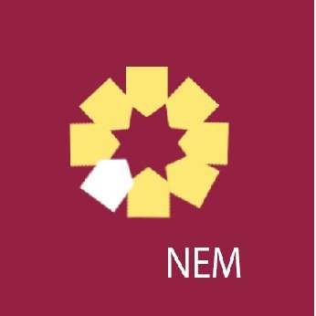 NEM Insurance Org Chart + Executive Team