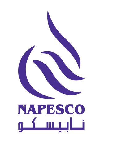 Napesco Org Chart + Executive Team