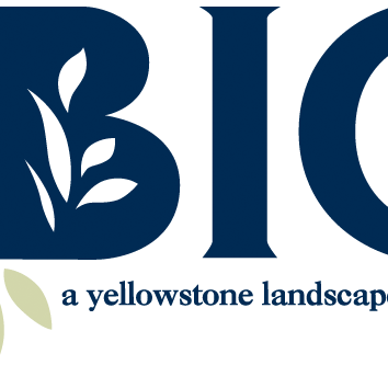 Yellowstone Landscape Org Chart + Executive Team