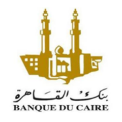 Banque du Caire Org Chart + Executive Team