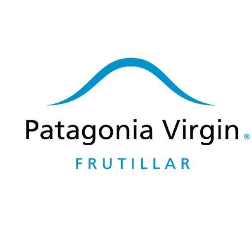 Org Chart Patagonia Virgin - The Official Board