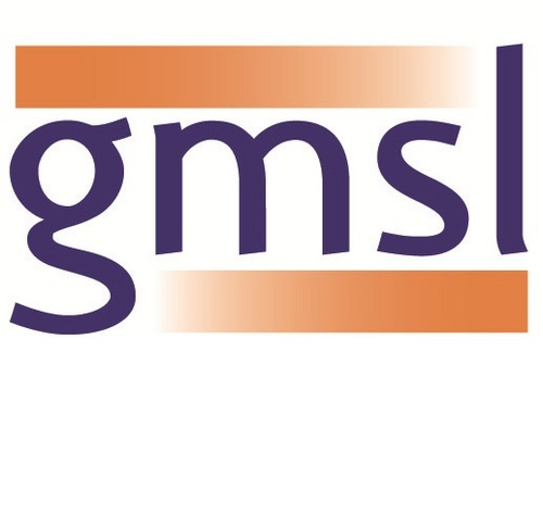 GMSL Org Chart + Executive Team