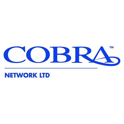 Cobra Network Org Chart + Executive Team