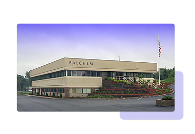 Balchem Org Chart + Executive Team