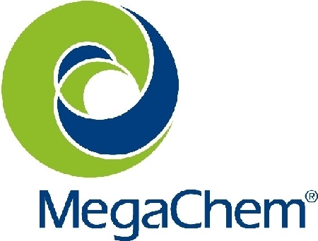 MegaChem Org Chart + Executive Team