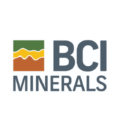 BCI Minerals Org Chart + Executive Team