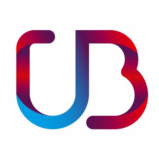 UBRR Org Chart + Executive Team