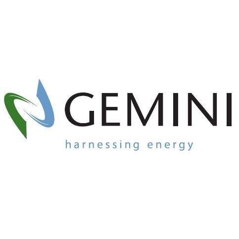 Gemini Org Chart + Executive Team