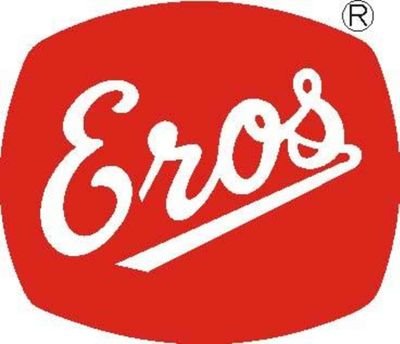 Eros Group Org Chart + Executive Team