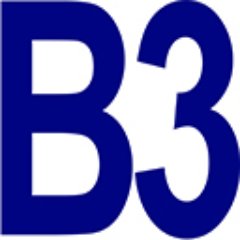 B3 Solutions Org Chart + Executive Team