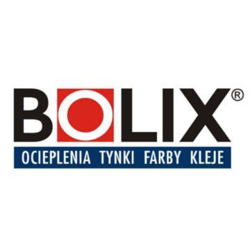 Bolix Org Chart + Executive Team
