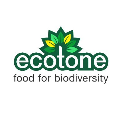 Ecotone Org Chart + Executive Team
