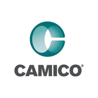 Camico Org Chart + Executive Team