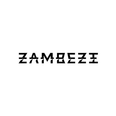 Zambezi Org Chart + Executive Team