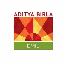 Org Chart Essel Mining & Industries - The Official Board