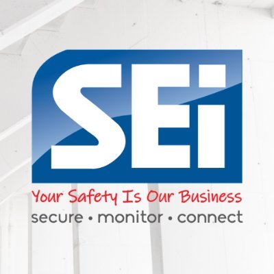 SEi Security Org Chart + Executive Team