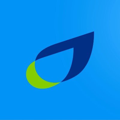British Gas Org Chart + Executive Team
