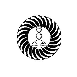 BioAtla Org Chart + Executive Team