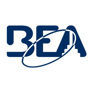 BEA Group Org Chart + Executive Team