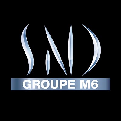 SND M6 Group Org Chart + Executive Team