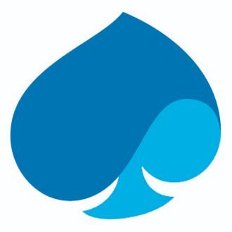 Capgemini Spain Org Chart + Executive Team