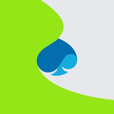 Capgemini Belgium Org Chart + Executive Team