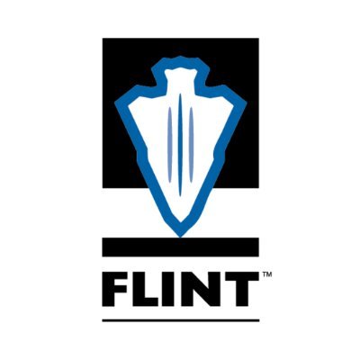 Flint Org Chart + Executive Team