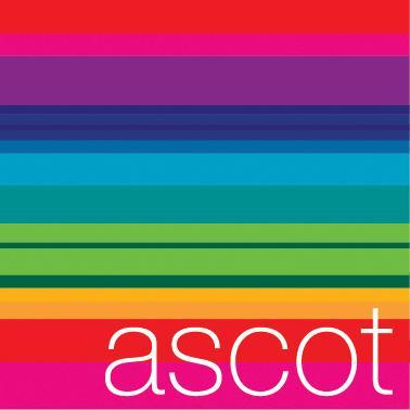 Ascot Group Org Chart + Executive Team