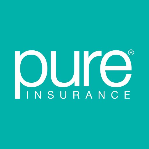 Pure Group of Insurance Companies Org Chart + Executive Team