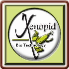 XBiotech Org Chart + Executive Team