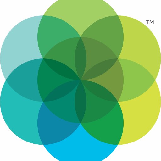Tanfeeth Org Chart + Executive Team