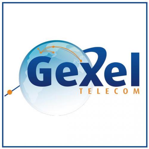 Gexel Org Chart + Executive Team