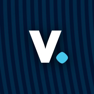 Voyager Internet Org Chart + Executive Team