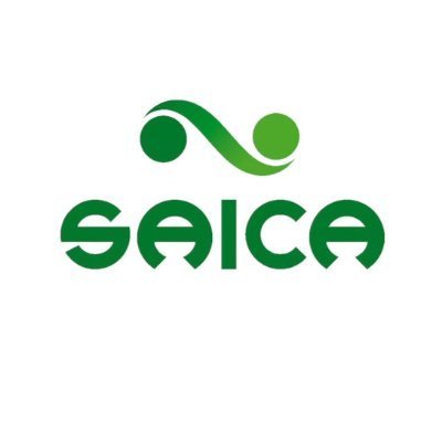 Saica Org Chart + Executive Team