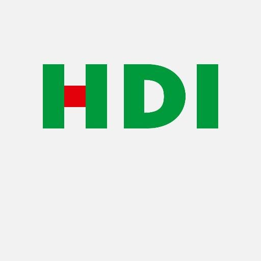 HDI Global Canada Org Chart + Executive Team