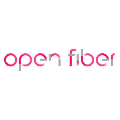 Open Fiber Org Chart + Executive Team