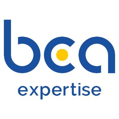 BCA Expertise Org Chart + Executive Team