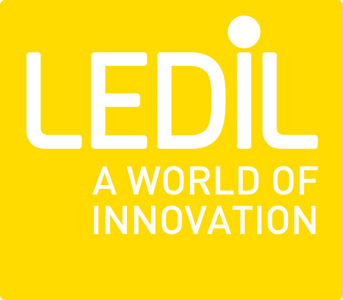 Ledil Org Chart + Executive Team