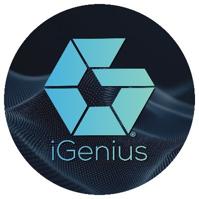 iGenius Org Chart + Executive Team