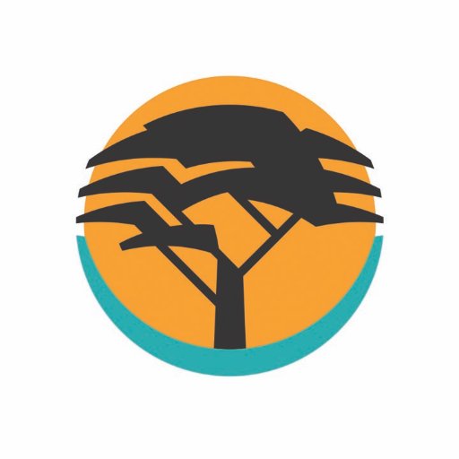 FNB Ghana Org Chart + Executive Team