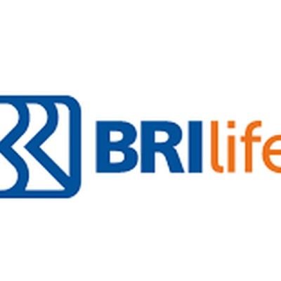 BRI Life Org Chart + Executive Team